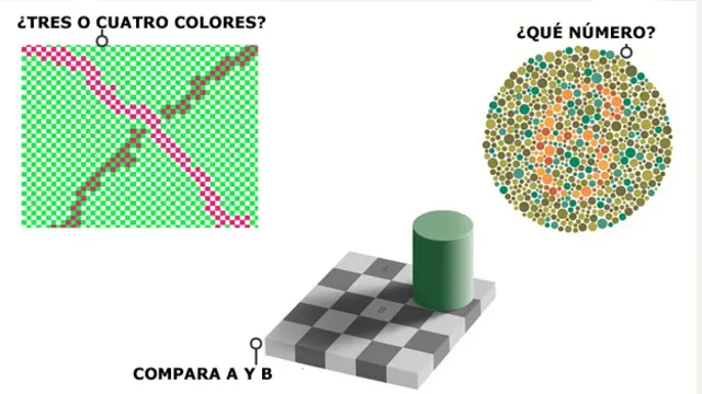 ¿Por qué no todos vemos los colores de la misma forma? - BBC News Mundo
