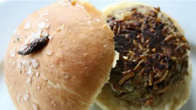 4 platos que puedes probar en un restaurant de insectos - BBC News Mundo