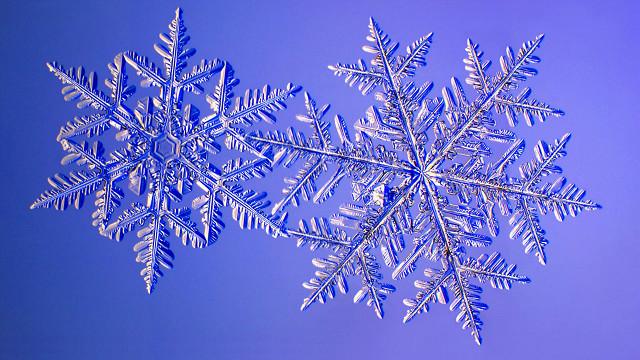 La espectacular belleza de los copos de nieve - BBC News Mundo