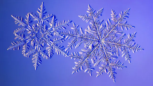 La espectacular belleza de los copos de nieve - BBC News Mundo