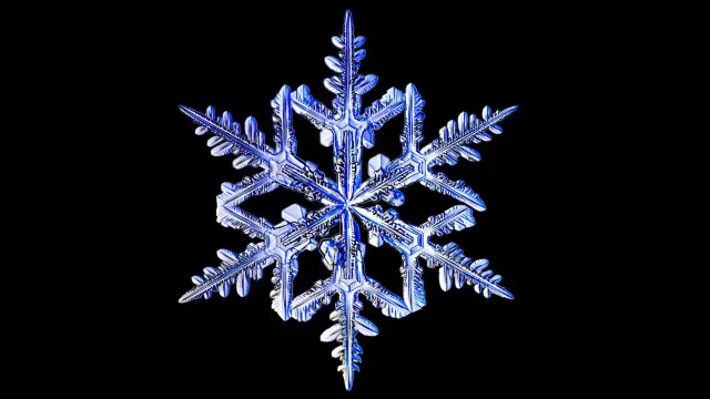 La espectacular belleza de los copos de nieve - BBC News Mundo