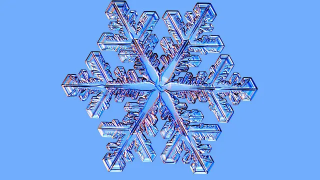 La espectacular belleza de los copos de nieve - BBC News Mundo