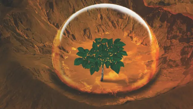 ¿Por qué la NASA quiere llevar papas peruanas a Marte? - BBC News Mundo