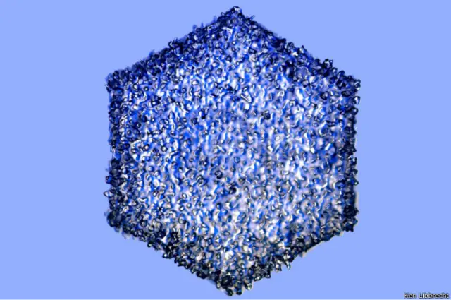 Pria yang menghabiskan 15 tahun hidupnya memotret salju - BBC News ...