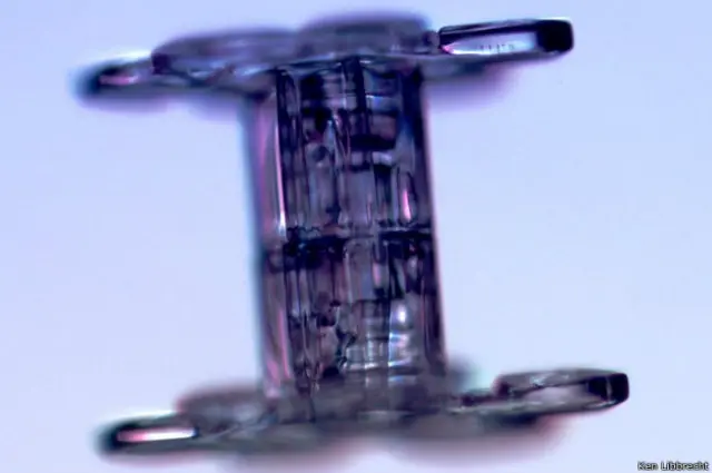 Pria yang menghabiskan 15 tahun hidupnya memotret salju - BBC News ...