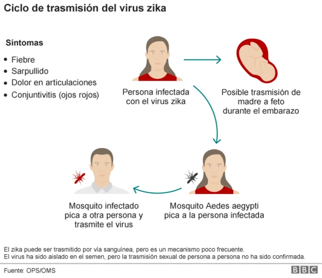 ¿Cuáles son los síntomas del virus zika y qué hacer si lo tienes? - BBC ...