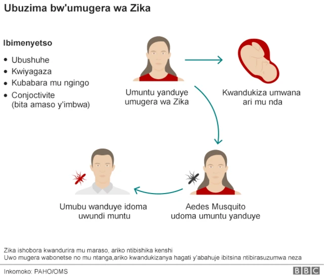 Igisirikare ca Brezil mu kurwanya Zika - BBC News Gahuza