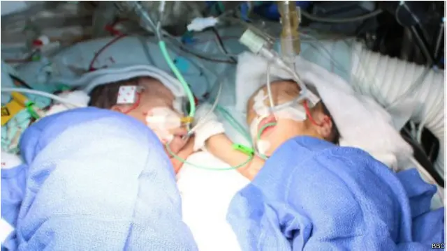 Mapacha watenganishwa salama Uswizi - BBC News Swahili