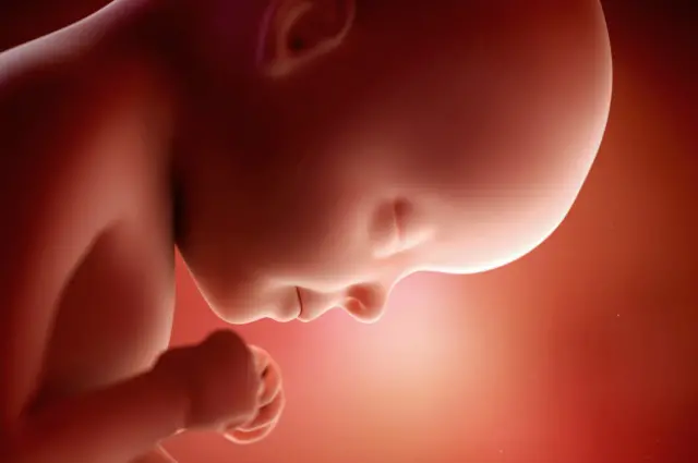 Virus zika: ¿cuáles son los trastornos, enfermedades e infecciones que ...