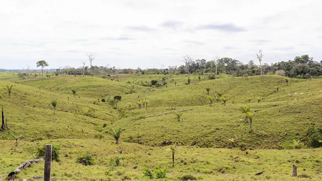 Cómo descubrí que el extraordinario Río Hirviente de la Amazonía no era ...