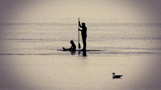 Nosotros proponemos el tema, tú mandas las fotos - BBC News Mundo