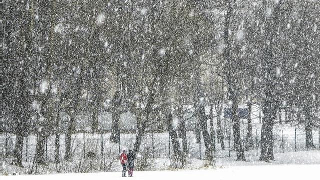 Nieve visual: el trastorno que algunos tienen frente a sus ojos sin ...
