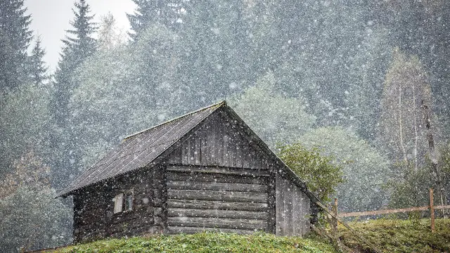 Nieve visual: el trastorno que algunos tienen frente a sus ojos sin ...