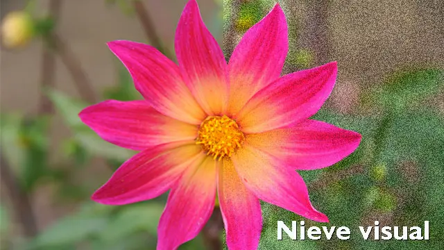 Nieve visual: el trastorno que algunos tienen frente a sus ojos sin ...