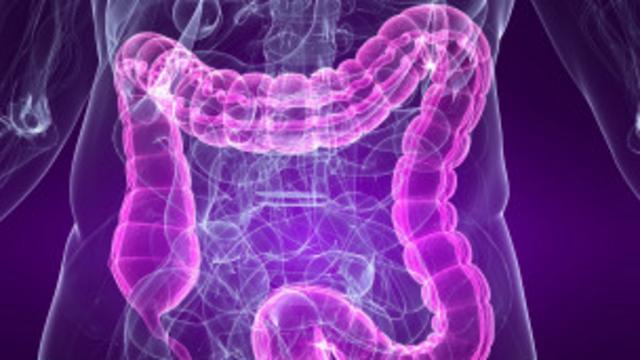 Qué debes comer para tener un intestino sano - BBC News Mundo