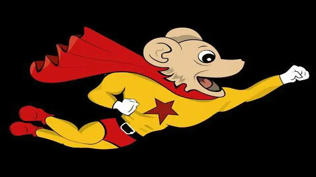 Conheca os dinkoistas, que veneram rato de quadrinhos como criador do ...