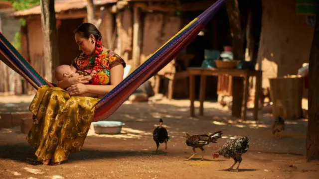 El increíble color de las comunidades indígenas de Oaxaca - BBC News Mundo