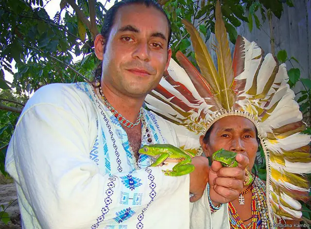 Kambó, el polémico veneno que se usa en Sudamérica como medicina para ...