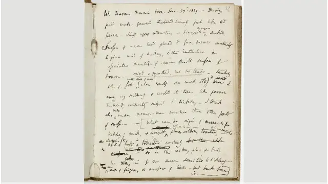 Como observar os filhos ajudou Darwin a compreender a evolução humana ...