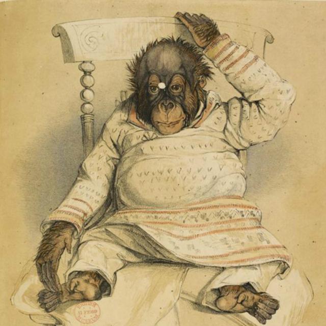 Como observar os filhos ajudou Darwin a compreender a evolução humana ...