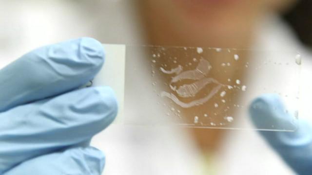 Para cientistas, riscos associados ao Zika são maiores do que se ...