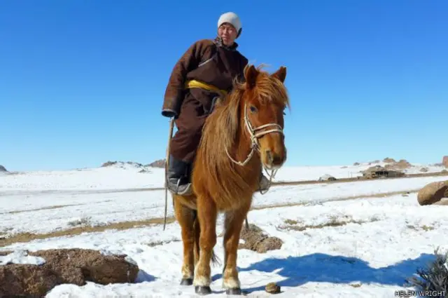 Dzud, el misterioso "asesino" que mata millones de animales al año ...