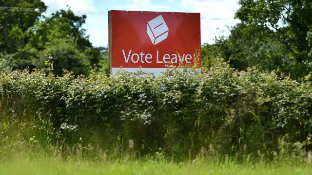 英国脱欧派是否改变腔调、改弦更张 ？ - BBC News 中文