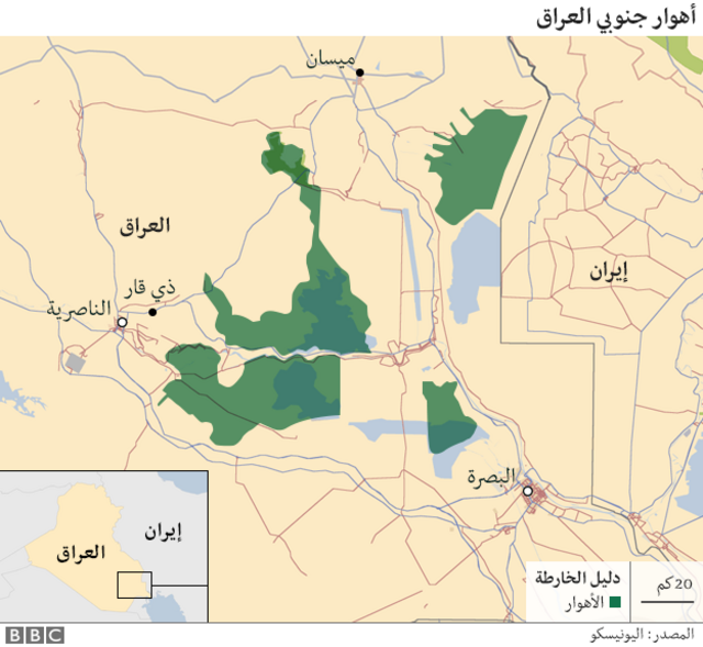 أهوار العراق: ماذا يعني إدراجها في لائحة التراث العالمي؟ - BBC News عربي