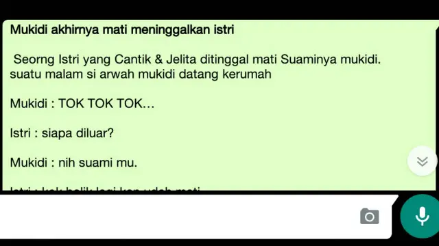 Dari Iwan Fals hingga Istana, mengapa Mukidi begitu populer? - BBC News ...