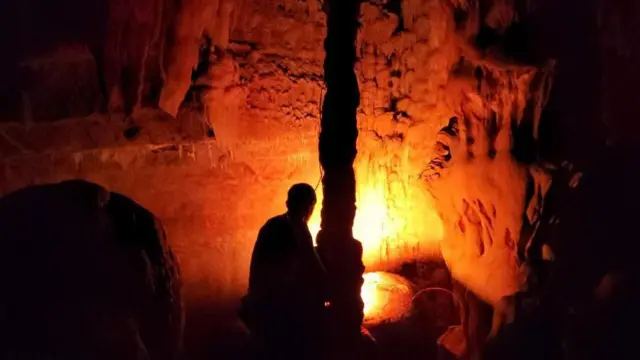 Waayee holqa Naasi'ool kan Oromiyaa keessaa isa 'bareedaa' jedhamee ...