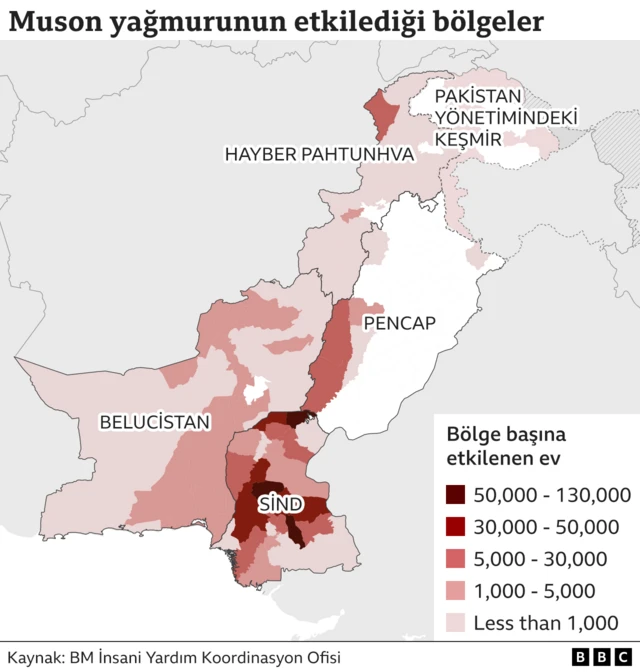 Pakistan’da sel: Uydu fotoğrafları yıkımın boyutunu gözler önüne serdi ...