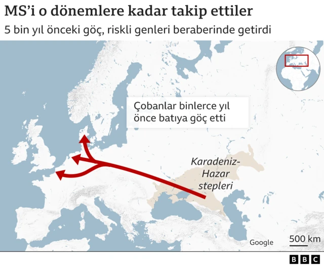 MS: Bilim insanları hastalığa yol açan genin 5000 yıl önceye ...