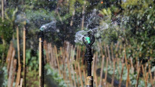 Wisata Bali sempat anjlok, sejumlah pemuda beralih menjadi ‘petani cerdas’ - BBC News Indonesia