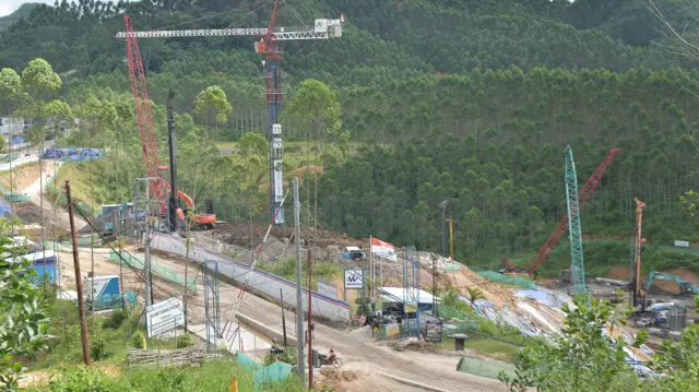 Kalimantan Timur: Ratusan ribu hektare hutan dilepas untuk sawit dan tambang yang 'menguntungkan ...