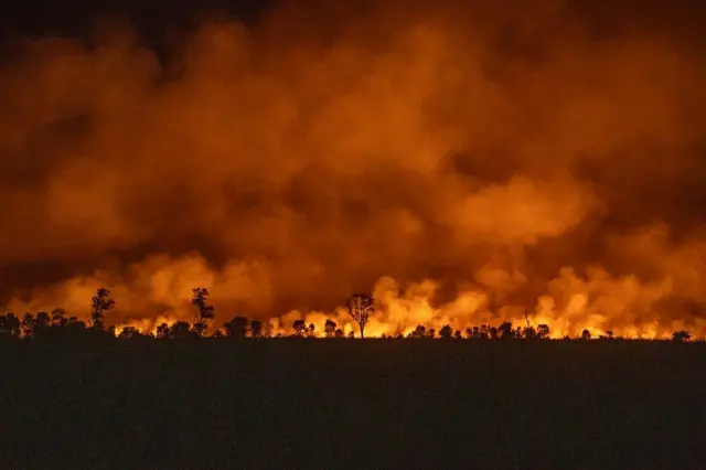 Karhutla kembali terjadi di hutan yang ditempati perusahaan – Apakah pemerintah serius ...