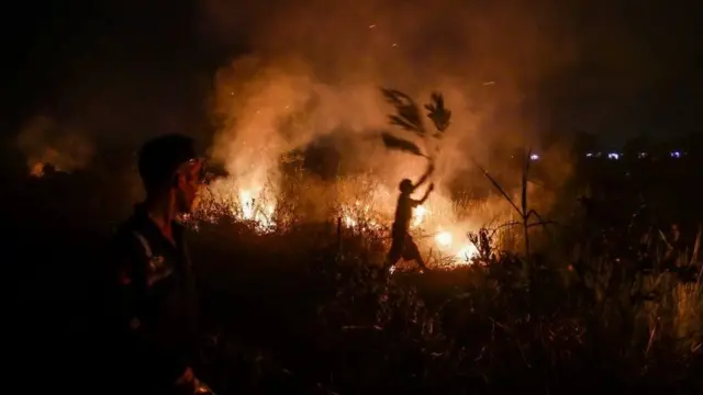 Kebakaran hutan: Sejumlah perusahaan di balik karhutla 2015-2018 lolos dari sanksi serius - BBC ...