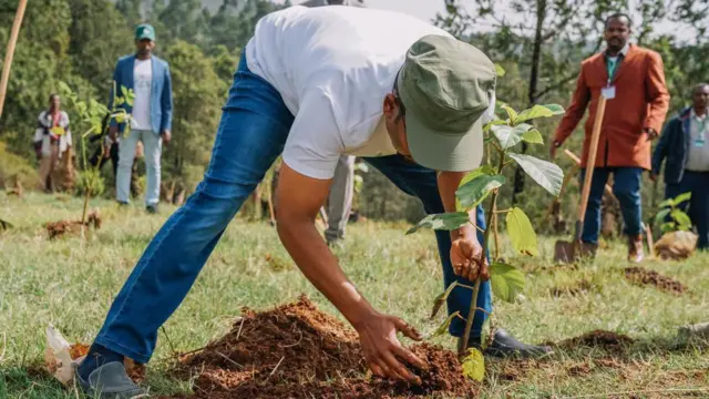 Duula biqiltuu dhaabuu Itoophiyaa: Siyaasa moo eegumsa naannoo? - BBC ...