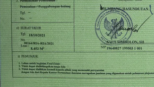 Food Estate Sumatra Utara: Perjuangan perempuan Desa Ria-Ria di lumbung ...