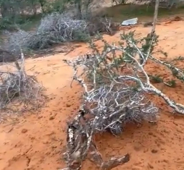 "Weli kama bi'in cillaankii ku yiillay timihiisa markii aan qabriga ...