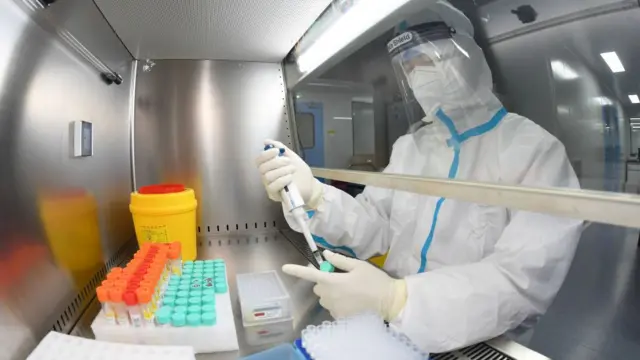 Covid : l'origine du virus est probablement due à un incident de laboratoire en Chine selon le ...