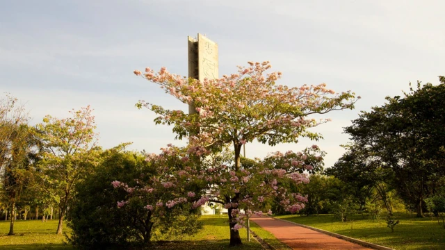 USP lidera 52 brasileiras em ranking global de universidades, mas ...