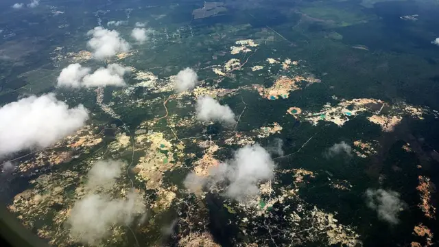 Konflik buaya dan manusia di Indonesia terparah di dunia, ratusan orang kehilangan nyawa ...