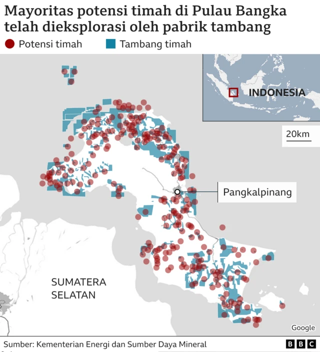 Konflik buaya dan manusia di Indonesia terparah di dunia, ratusan orang kehilangan nyawa ...