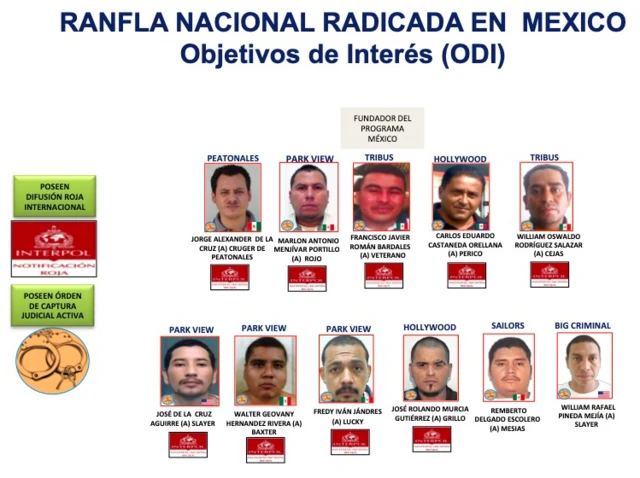 Qué es el "Programa México" con el que la Mara Salvatrucha se expandió en ese país (y cuál fue ...