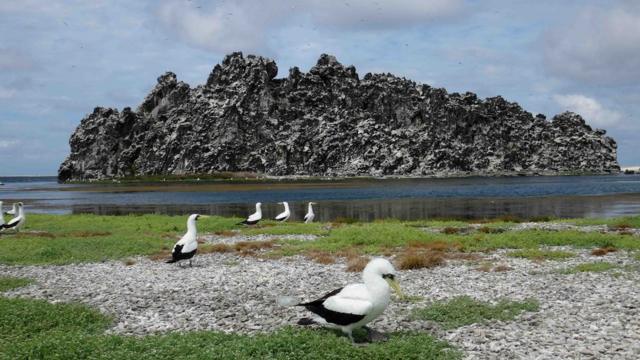 La desconocida y trágica historia de Clipperton, el último territorio ...