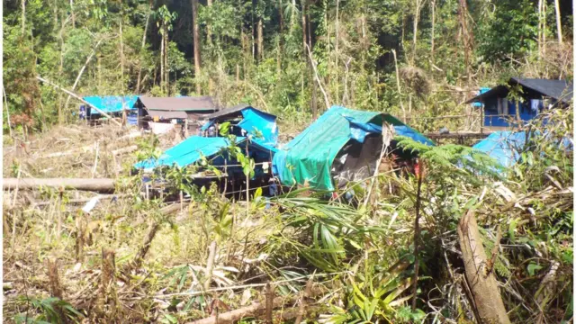 Tambang emas ilegal di pedalaman Papua: Mendulang dari derita Suku Korowai - BBC News Indonesia