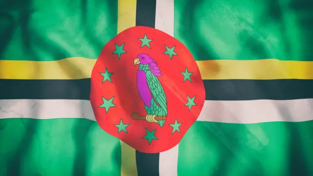 Qué color está ausente en (casi) todas las banderas del mundo y por qué ...