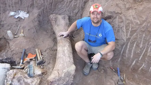 El hallazgo que aporta nuevos detalles sobre por qué los Tyrannosaurus ...