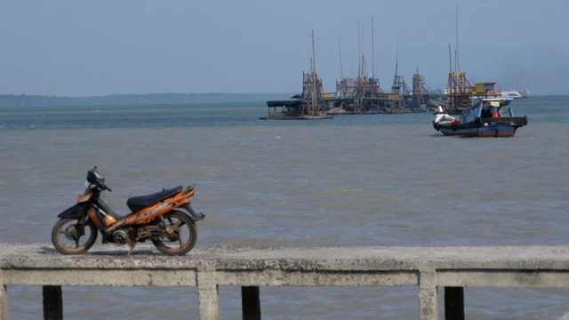 Konflik buaya dan manusia di Indonesia terparah di dunia, ratusan orang kehilangan nyawa ...