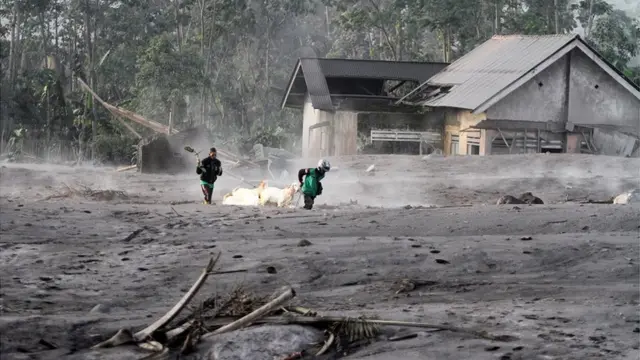 Gunung Semeru meletus: Rangkaian foto erupsi dan dampaknya - BBC News Indonesia